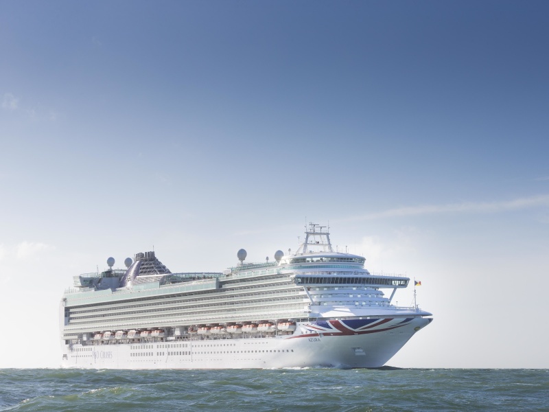 RINA to shape cruise industry's sustainable future - Maritime ...